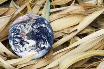 Dying Planet Earth stock photo. Image of exploited, earth - 13324256