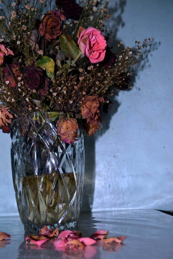 Dying Roses On A Defocused Dramatic Background. Broken Heart ...