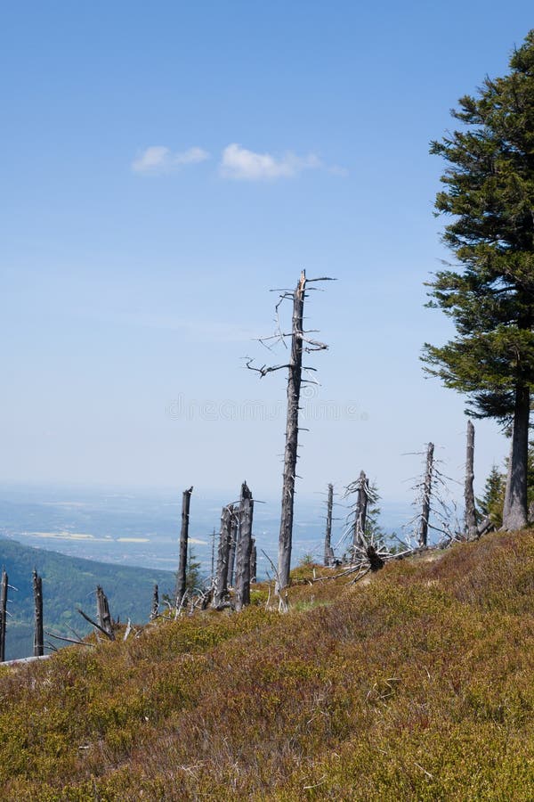 Trees Overlooking Karpacz Stock Photos - Free & Royalty-Free Stock ...
