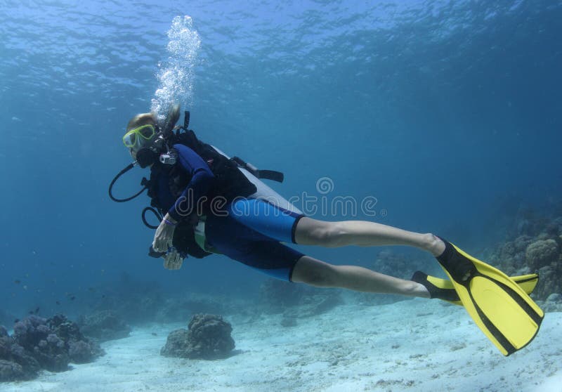 Dykare fotografering för bildbyråer. Bild av äventyr - 34072607
