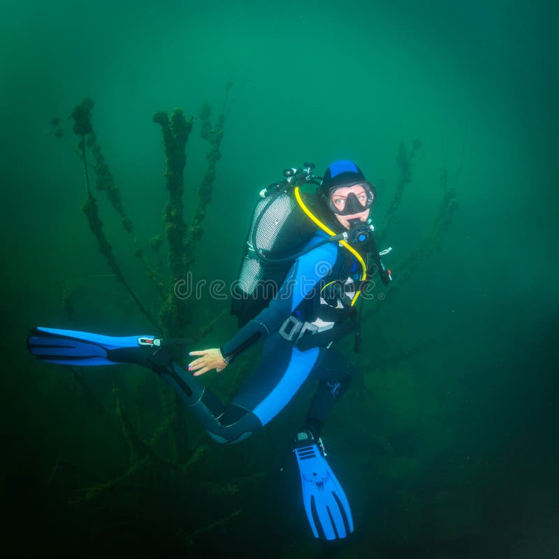 Dykare i floden fotografering för bildbyråer. Bild av fritid - 58188703