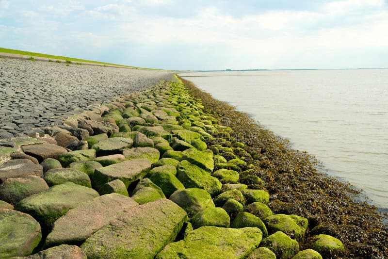 In Friesland, the Netherlands Stock Image - Image of nature, great ...