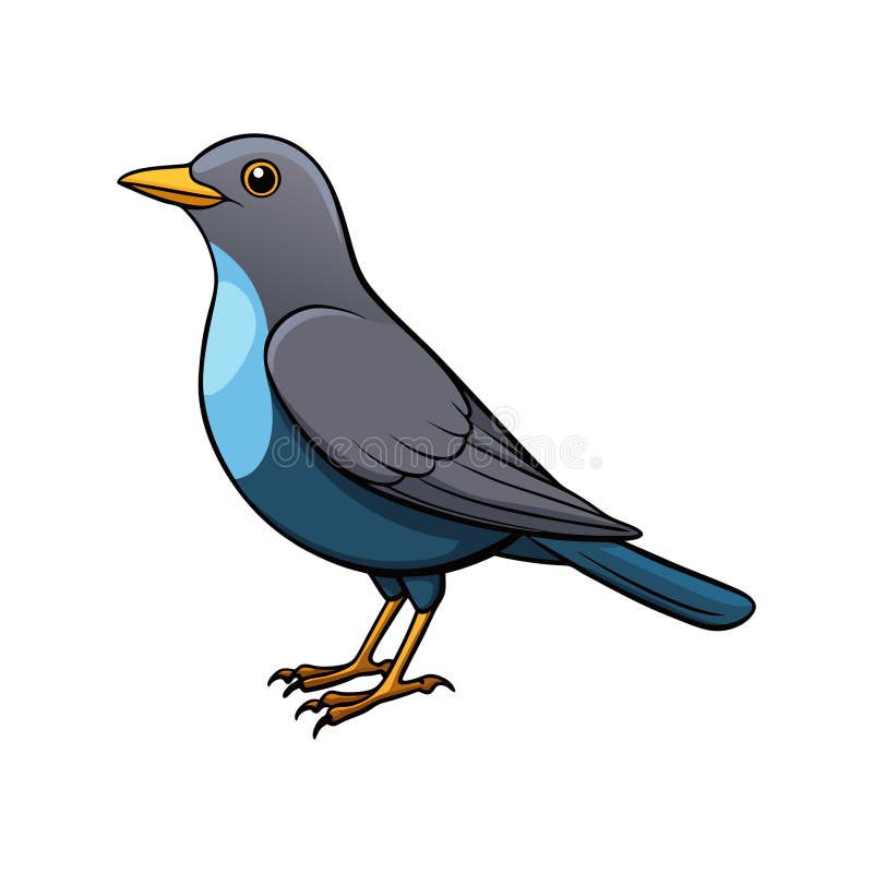 Dynamic American Dipper Bird Illustration Stock Image - Illustration of ...