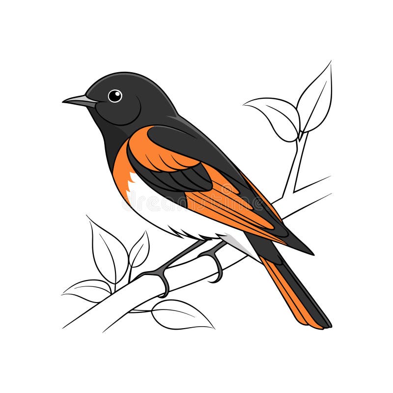 Dynamic American Redstart Bird Artwork Stock Illustration ...