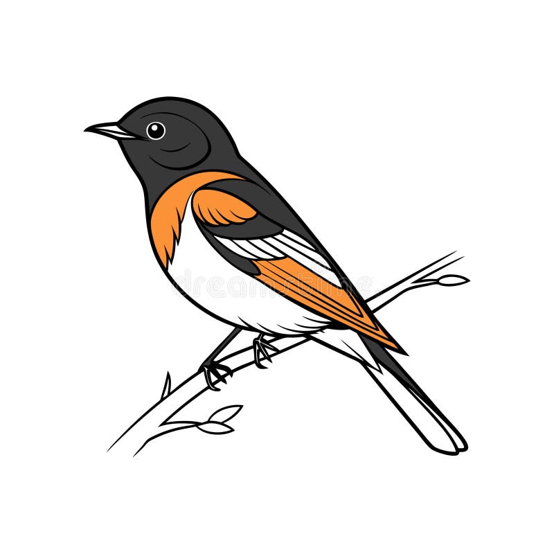 Dynamic American Redstart in Colorful Surroundings Stock Illustration ...