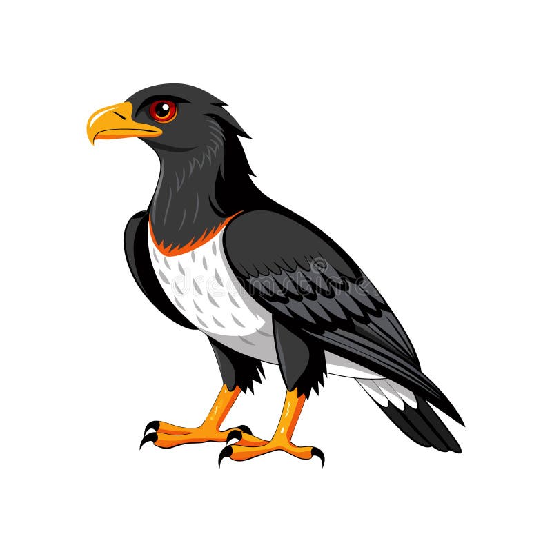 Dynamic Black-Breasted Buzzard Bird Artwork Stock Illustration ...