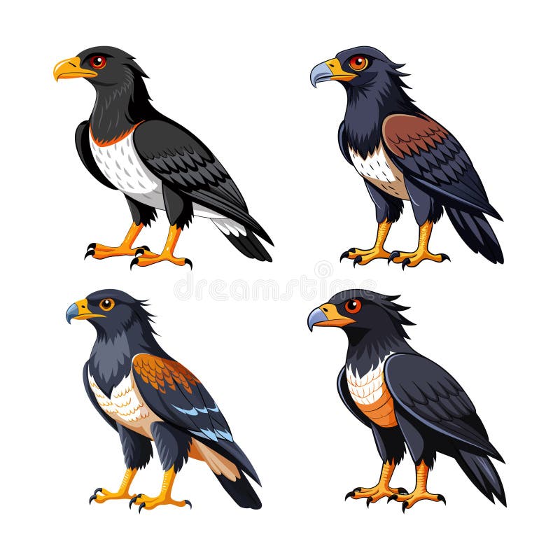 Dynamic Black-Breasted Buzzard Bird Artwork Stock Vector - Illustration ...