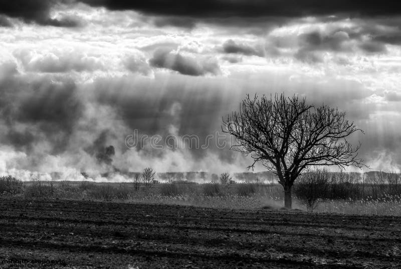 Dynamic Black and White Landscape Scenery Stock Photo - Image of light ...
