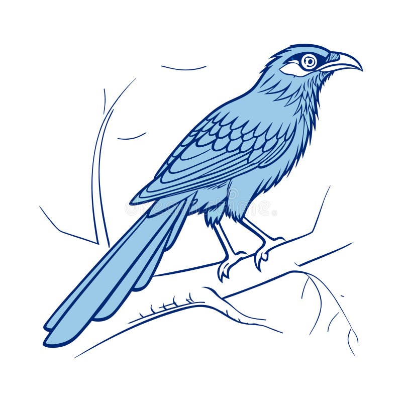 Dynamic Blue-Faced Malkoha Bird Representation Stock Illustration ...