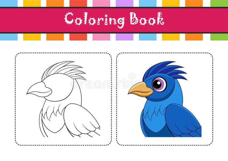 Dynamic Blue-Faced Malkoha Bird Representation Stock Vector ...