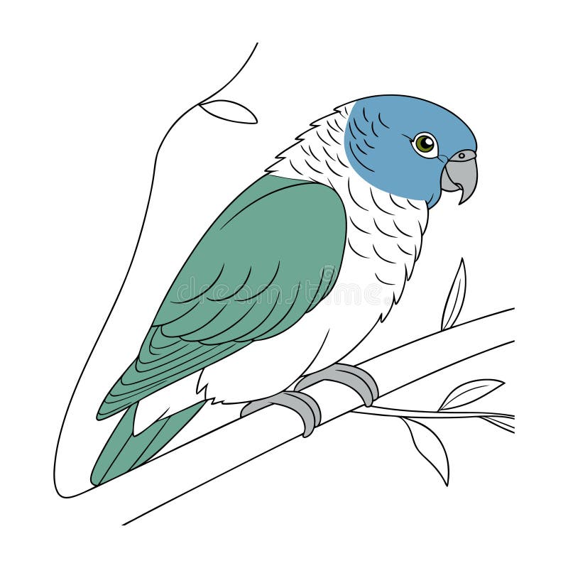 Dynamic Blue-Fronted Parrotlet Artwork Stock Illustration ...