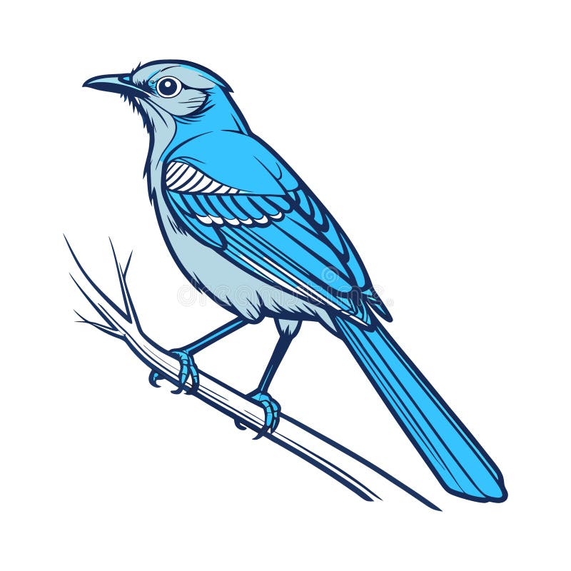 Dynamic Blue Mockingbird Bird Artwork Stock Illustration - Illustration ...