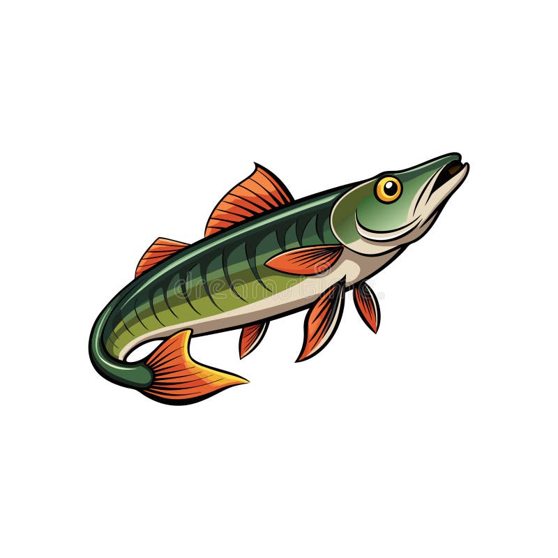 Dynamic Bowfin Ilustraciones Stock, Vectores, Y Clipart – (2 ...