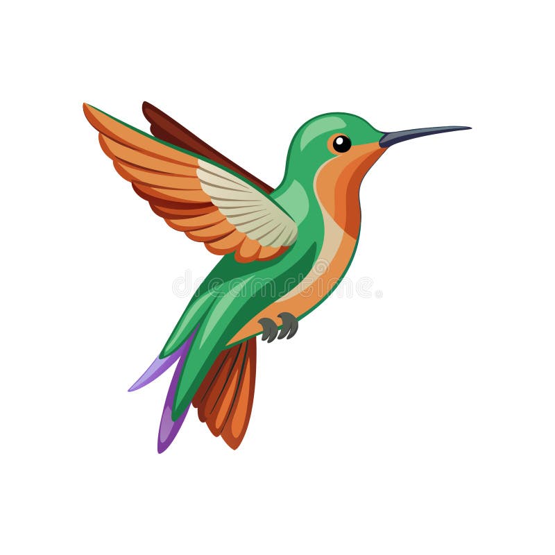 Dynamic Buff-Bellied Hummingbird Bird Artwork Stock Photo ...