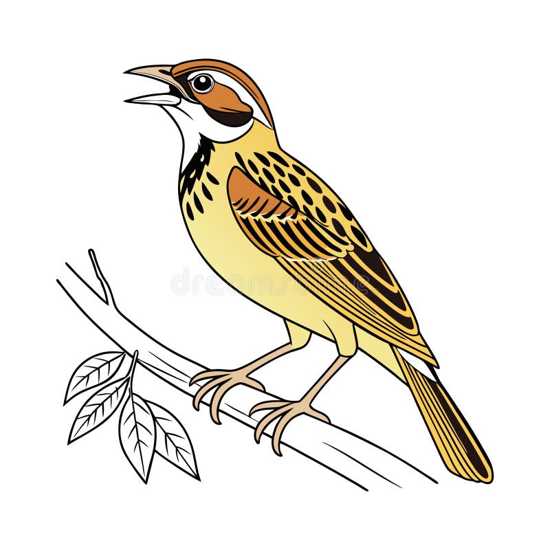 Dynamic Burmese Bush Lark Bird Representation Stock Illustration ...
