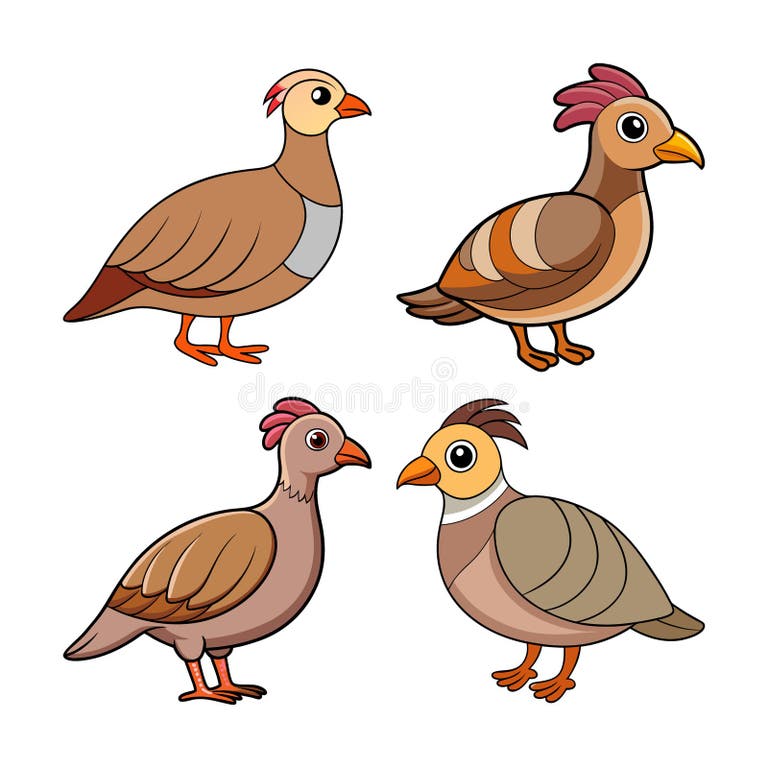 Chukar Stock Illustrations – 124 Chukar Stock Illustrations, Vectors ...
