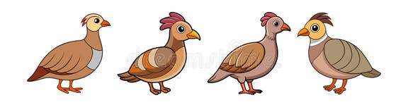 Chukar Stock Illustrations – 124 Chukar Stock Illustrations, Vectors ...