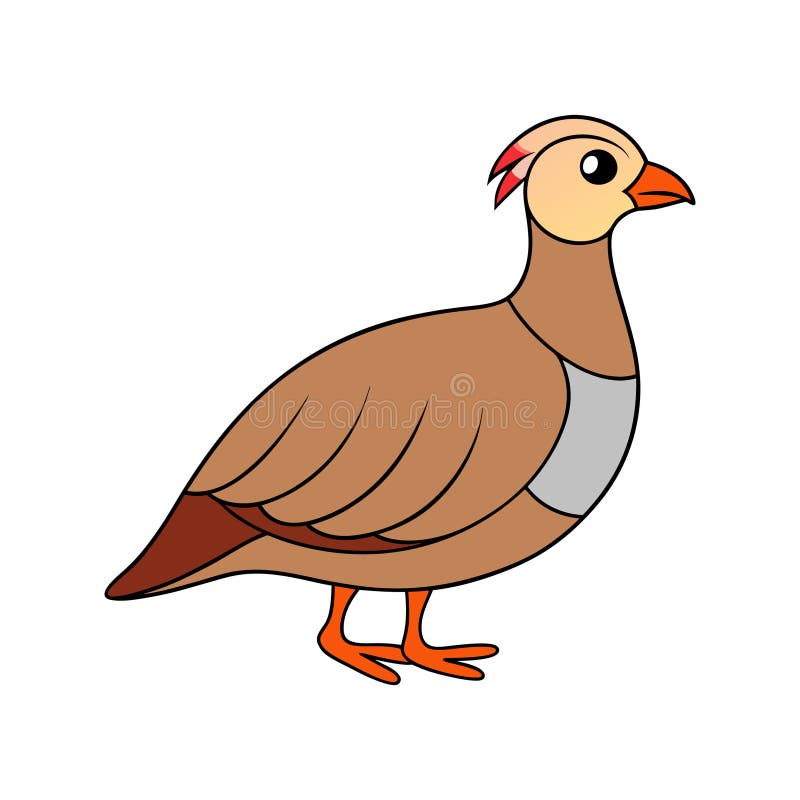 Dynamic Chukar Bird Artwork Stock Image - Illustration of stylish, bird ...