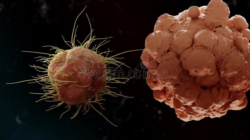 Virus and Cancer Cell on Black Background 3D Animation Stock Footage ...