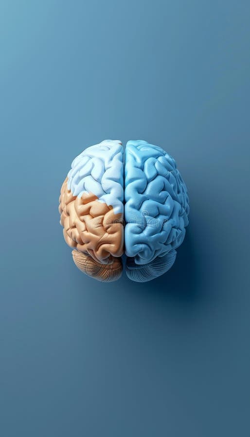 Dynamic 3d Visualization of Human Brain Highlighting Logic and ...