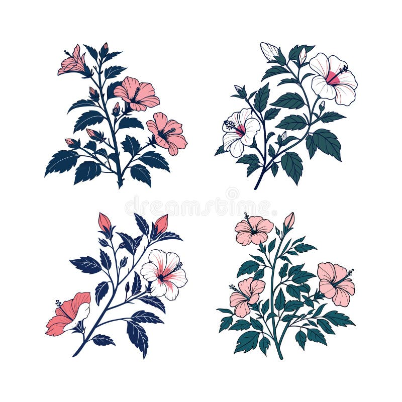 Dynamic Rose of Sharon Houseplant Design Stock Illustration ...
