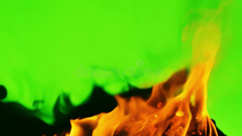 Dynamic Flames Flickering Casting Shadows on the Green Backdrop. Green ...