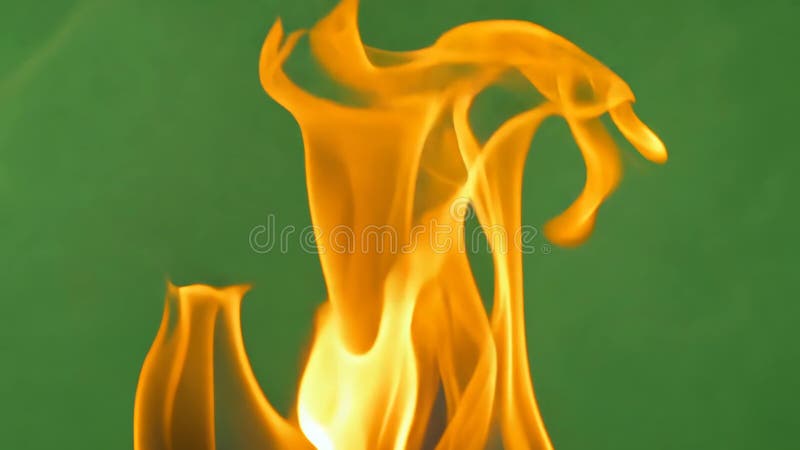 Dynamic Flames Rising on a Green Background, Designed for Visual ...