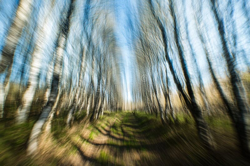 Dynamic Forest Pathway - Motion Blur Art Stock Illustration ...