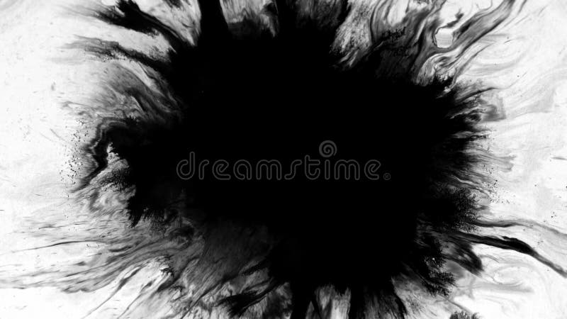 Dynamic Ink Splash Animation that Creates Engaging and Creative Visual ...