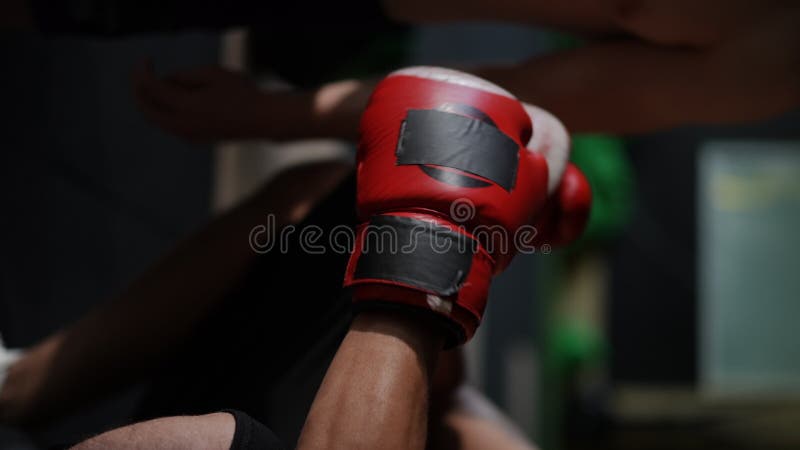 Capturing the Intensity of a Boxing Training Session Showcasing ...
