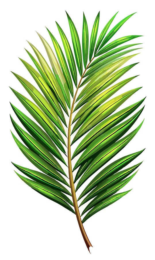 Dynamic Palm Frond with Varying Green Tones and Sharp Edges Creating a ...