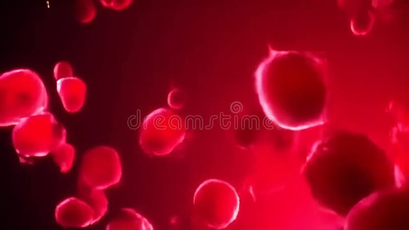 Dynamic Red Blood Cells in Motion Abstract Medical Background with ...