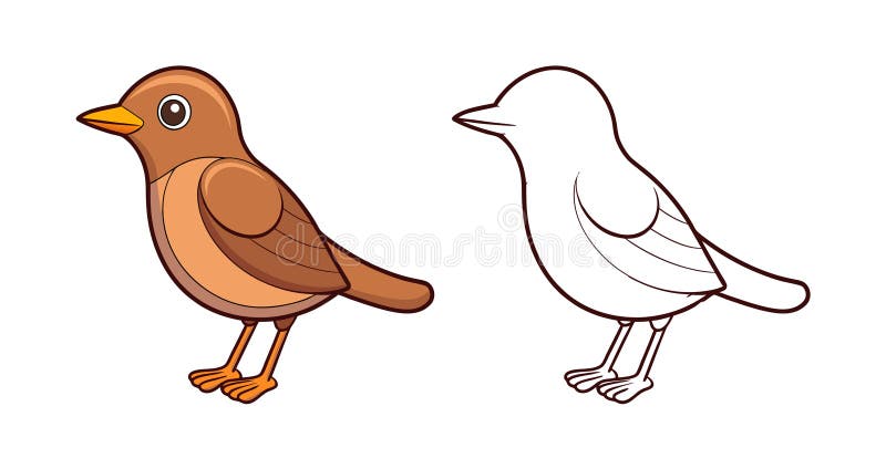 Dynamic Chinese Thrush Bird Representation Stock Illustration ...