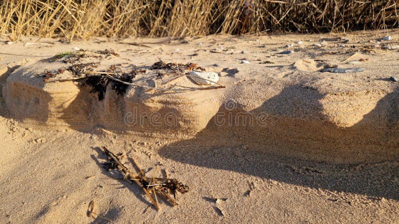 Dynamic Sand Dunes Formed by Natural Wind Forces Stock Photo - Image of ...