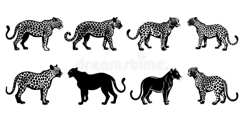 Set of Leopard Silhouettes in Different Poses Vector Icon Illustration ...