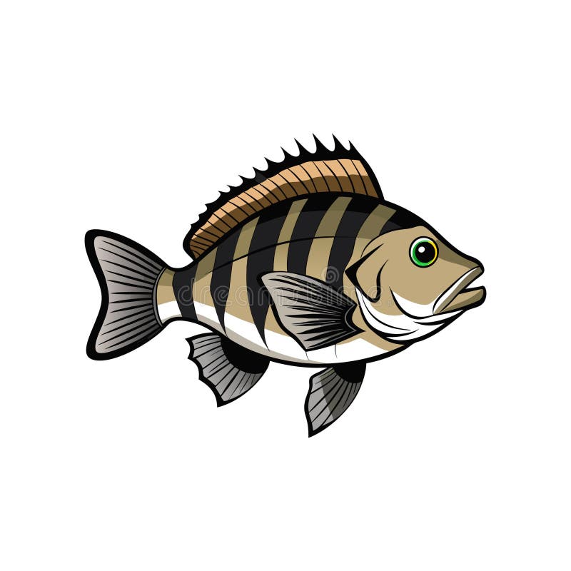 Dynamic Sheepshead Fish Illustration in Natural Habitat Stock Photo ...