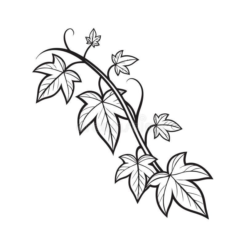 Dynamic Silver Vine Houseplant Design Stock Photo - Illustration of ...