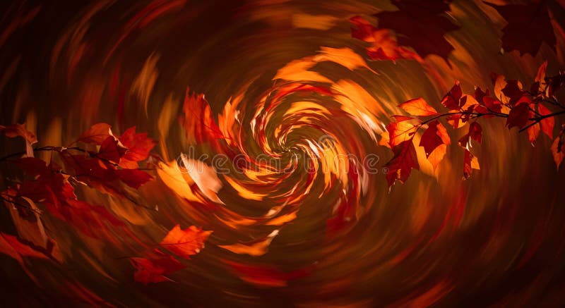 A Dynamic, Swirling Pattern of Autumn Leaves in Red, Orange, and Yellow ...