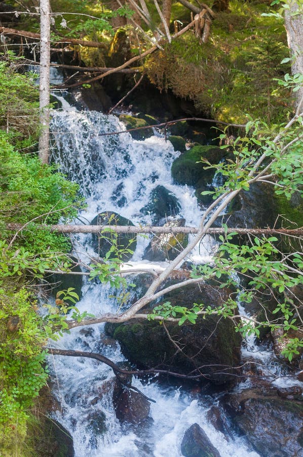 Dynamic Waterfall in Austria. Stock Photo - Image of mehrere, landscape ...