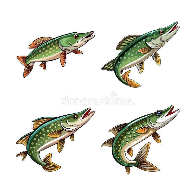 Dynamic Woodstream Pike Realistic Artwork Stock Vector - Illustration ...