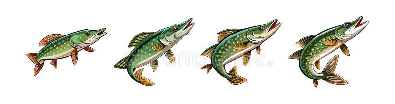 Dynamic Woodstream Pike Realistic Artwork Stock Vector - Illustration ...