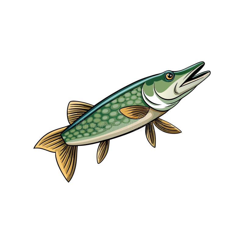 Dynamic Woodstream Pike Realistic Artwork Stock Photo - Illustration of ...