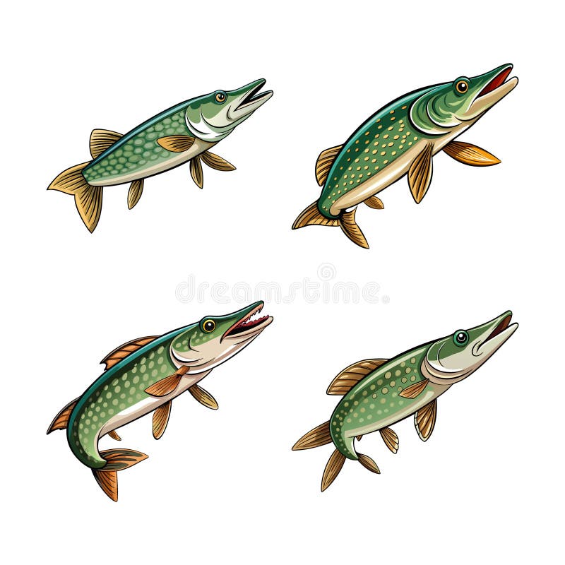 Dynamic Woodstream Pike Realistic Artwork Stock Vector - Illustration ...