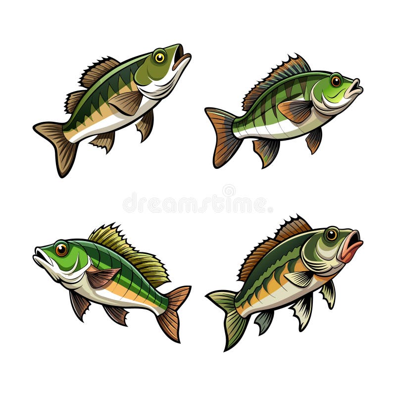 Dynamic Wrackdrop Bass Fish Aquatic Art Stock Vector - Illustration of ...