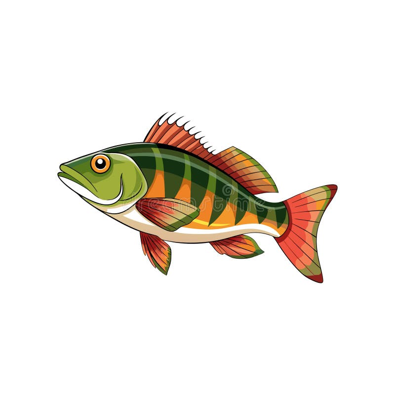 Dynamic Wrasse Bass Fish Colorful Representation Stock Photo ...