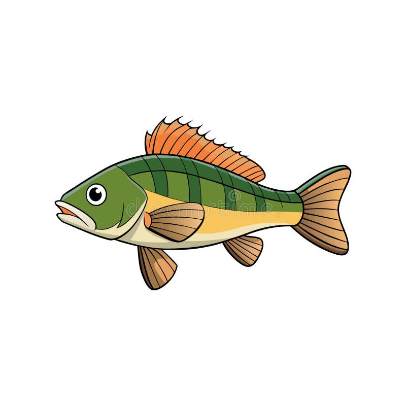 Dynamic Wrasse Bass Fish Colorful Representation Stock Image ...