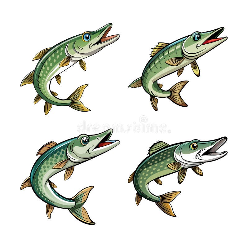Dynamic Wriggling Pike Realistic Color Display Stock Vector ...