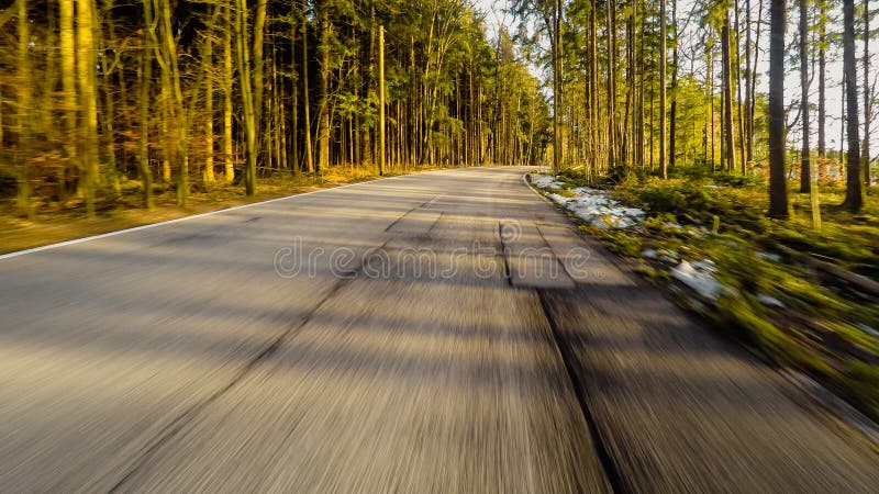 Dynamics on the Road: Going Fast on Tarmac Road through Woodland Stock ...