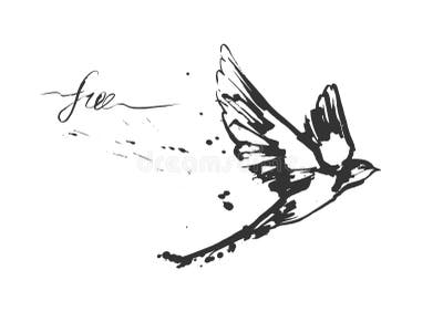 Svala Stock Illustrationer, Vektorer, & Clipart – (18,269 Stock ...