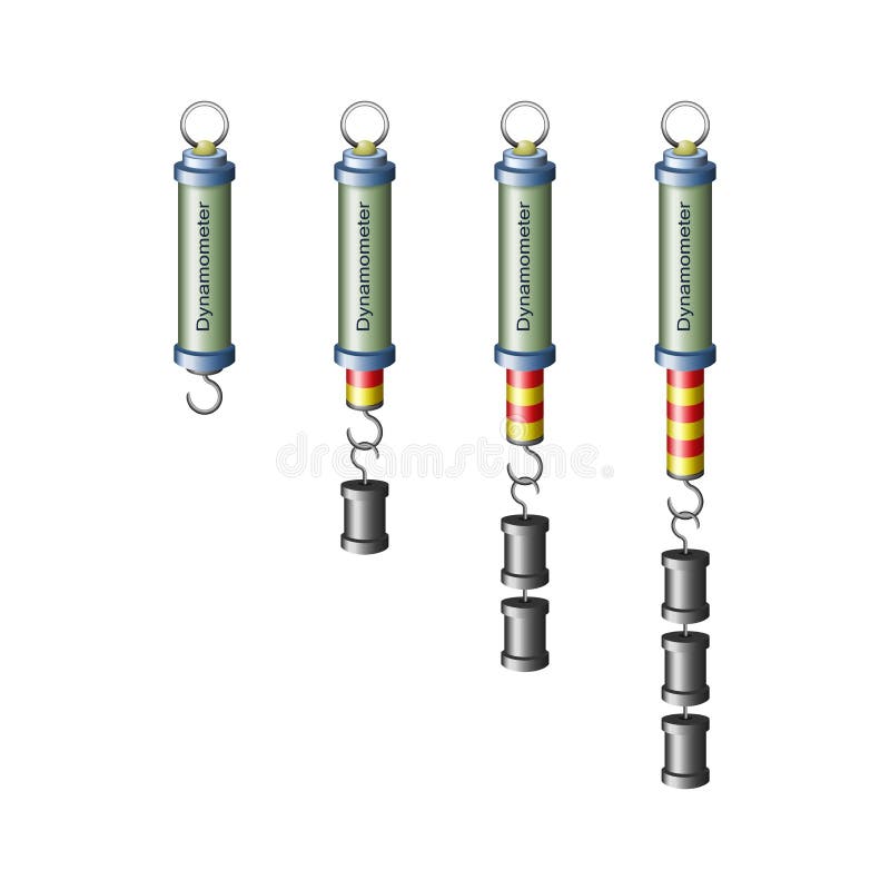 Silvery Cylindrical Spring Dynamometers Stock Illustrations – 1 Silvery ...
